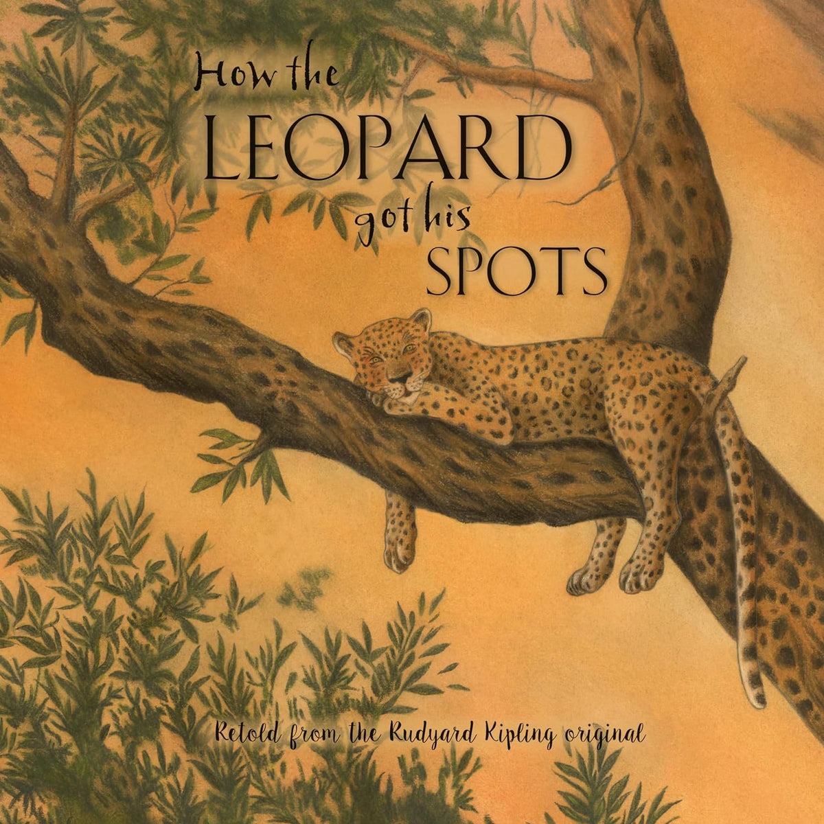 How The Leopard Got His Spots - Children’s Picture Book – Robert Frederick