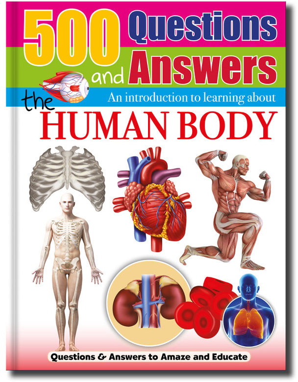 500 Questions and Answers - The Human Body - Children's Reference Book ...