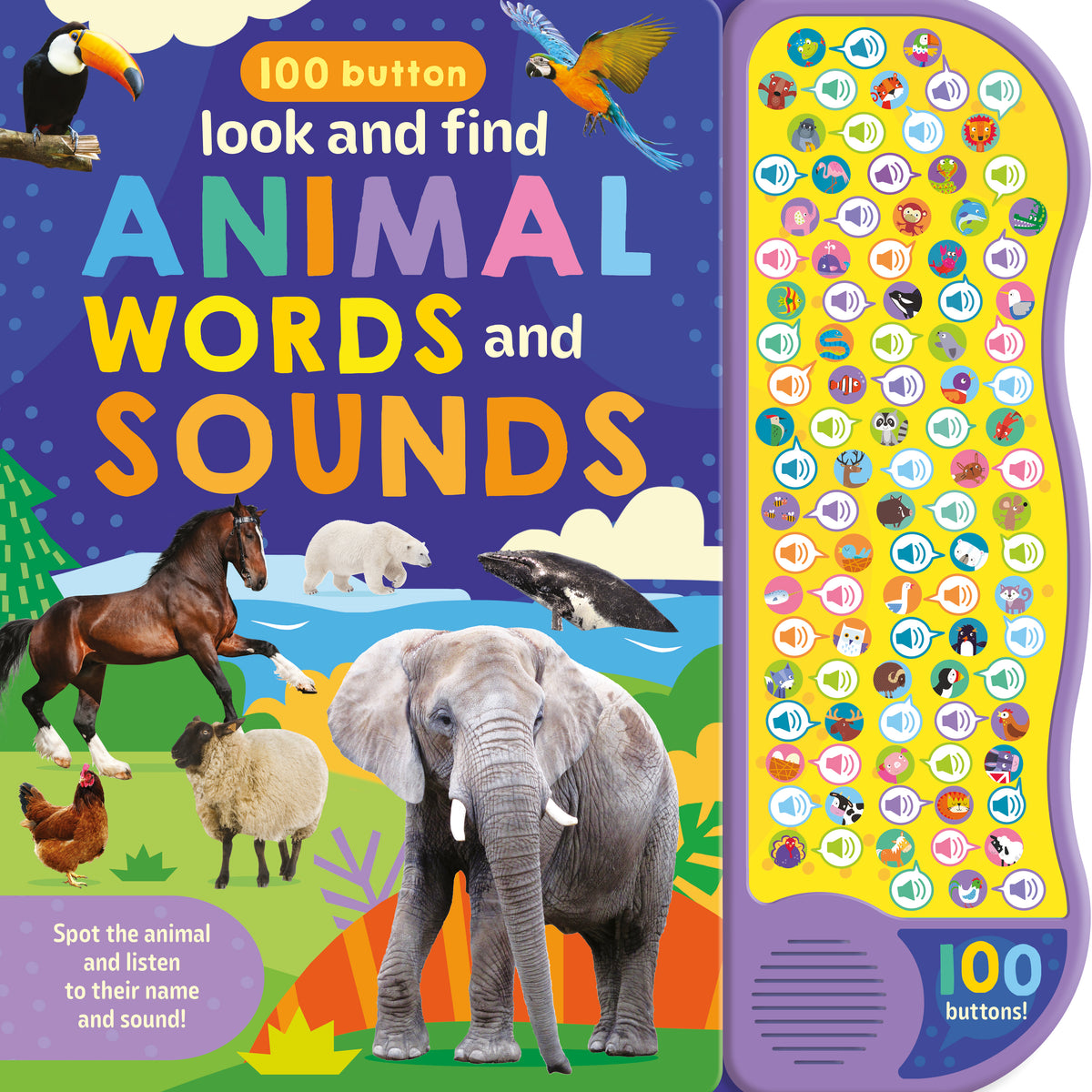 Look & Find Animal Words & Sounds - 100 Button Sound Book – Robert ...