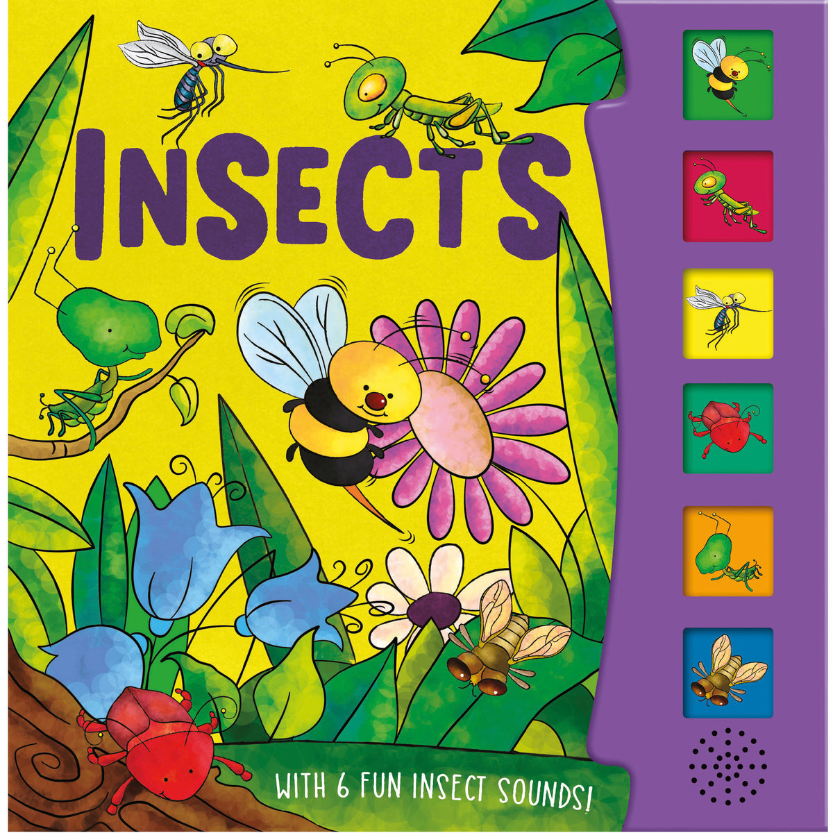 Insects – Children’s 6 Button Sound Book – Robert Frederick
