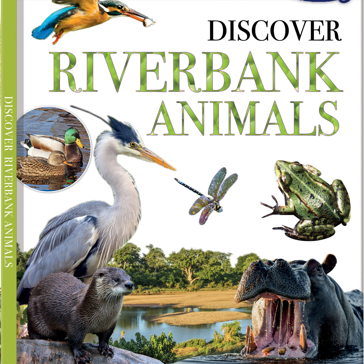 Discover Riverbank Animals - Children's Reference Book – Robert Frederick