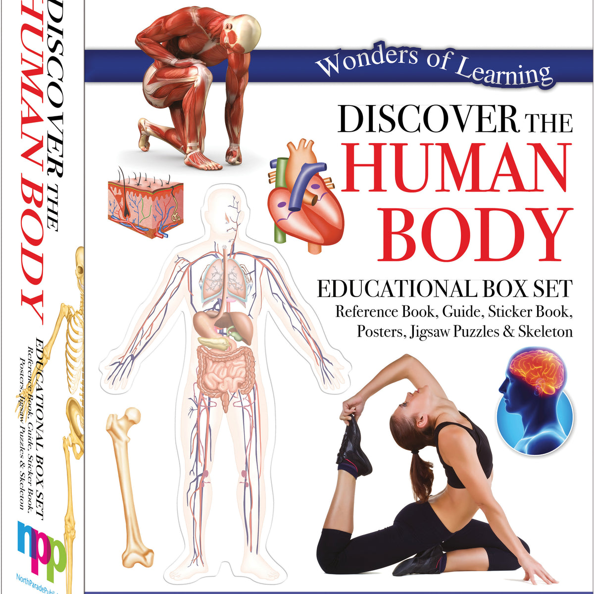 Discover The Human Body Educational Box Set - Children's STEM Learning ...