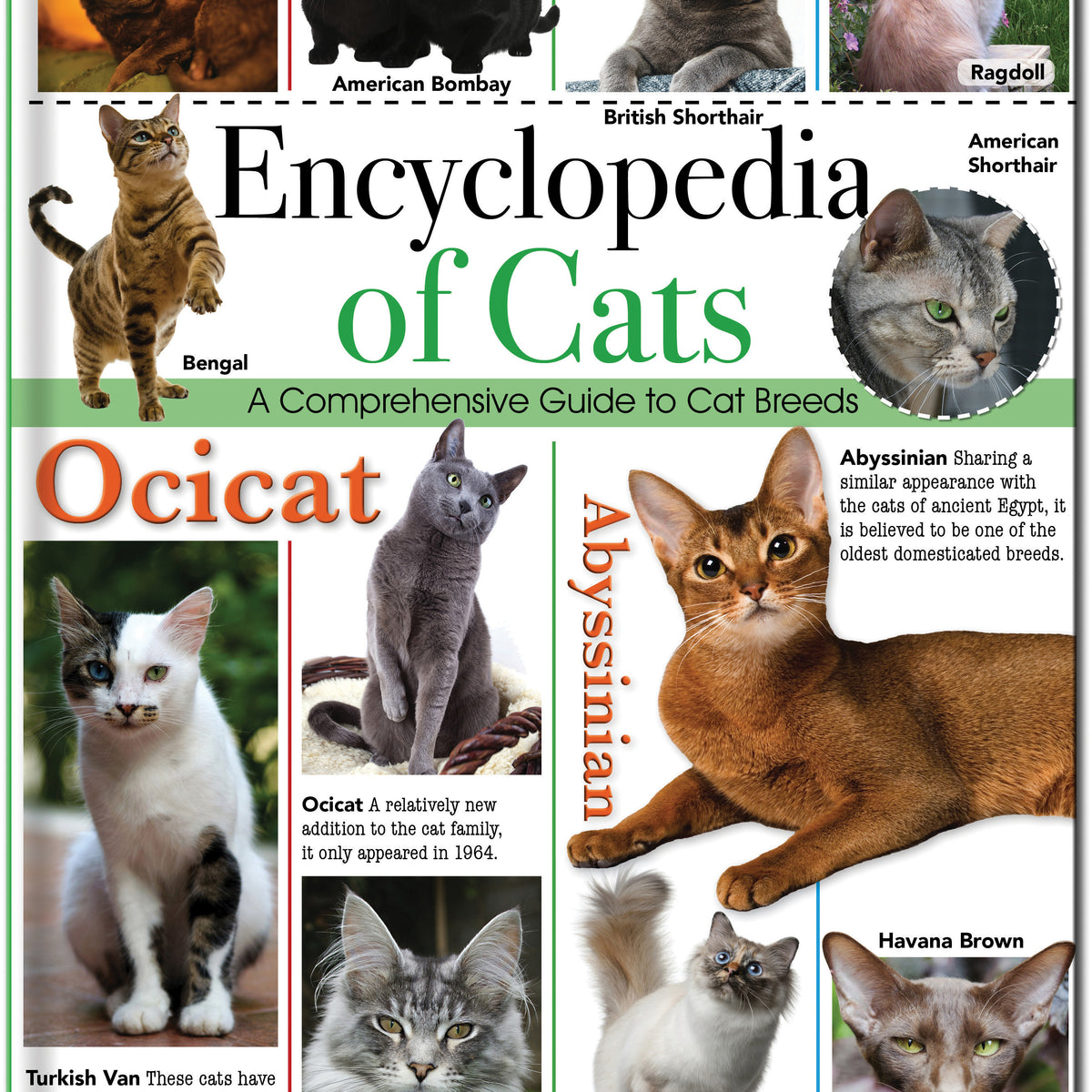 Encyclopedia of Cats: A Comprehensive Guide to Cat Breeds - Children's ...