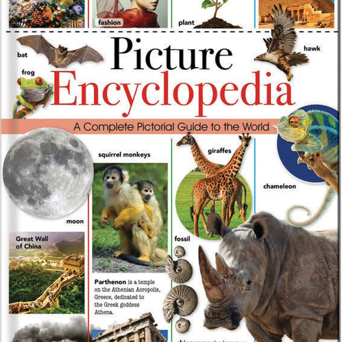 Picture Encyclopedia: A Complete Pictorial Guide to the World - Childr ...