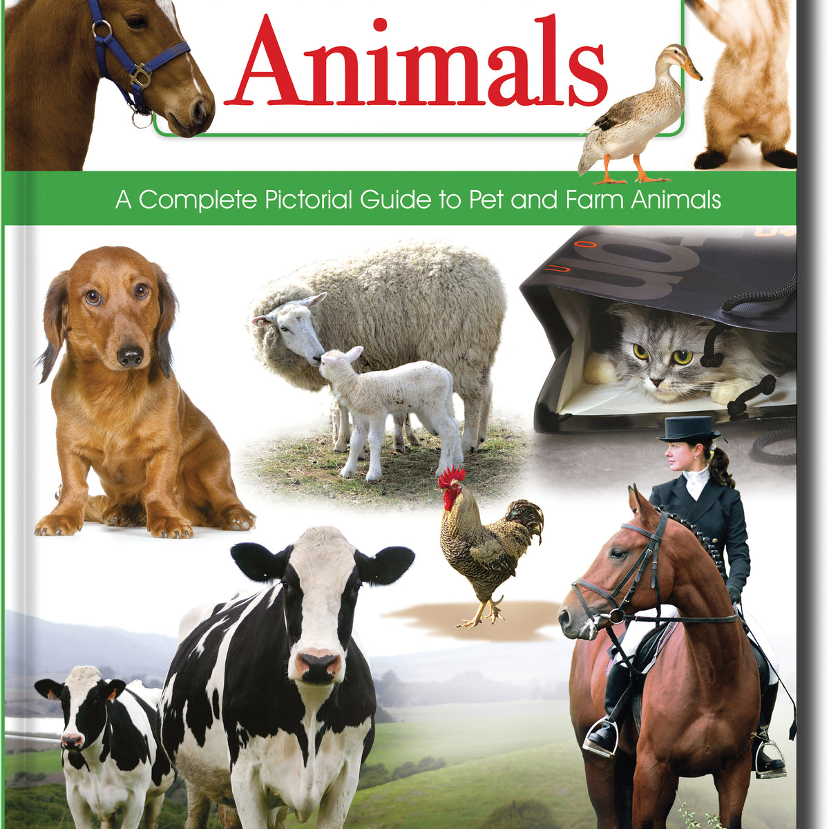 Great Book of Animals - Children's Reference Book – Robert Frederick
