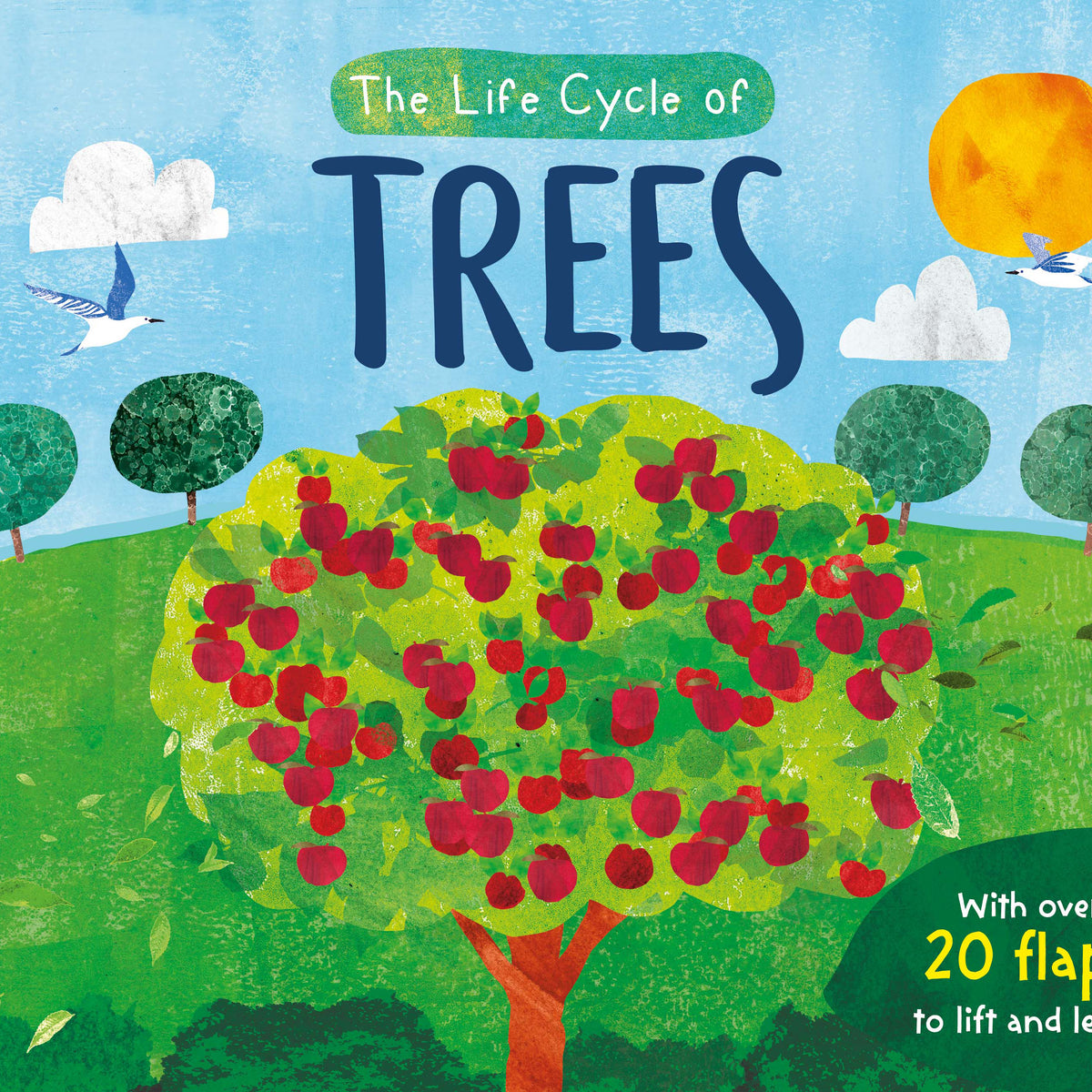 The Life Cycle of Trees - Children’s Lift-the-Flap Book – Robert Frederick