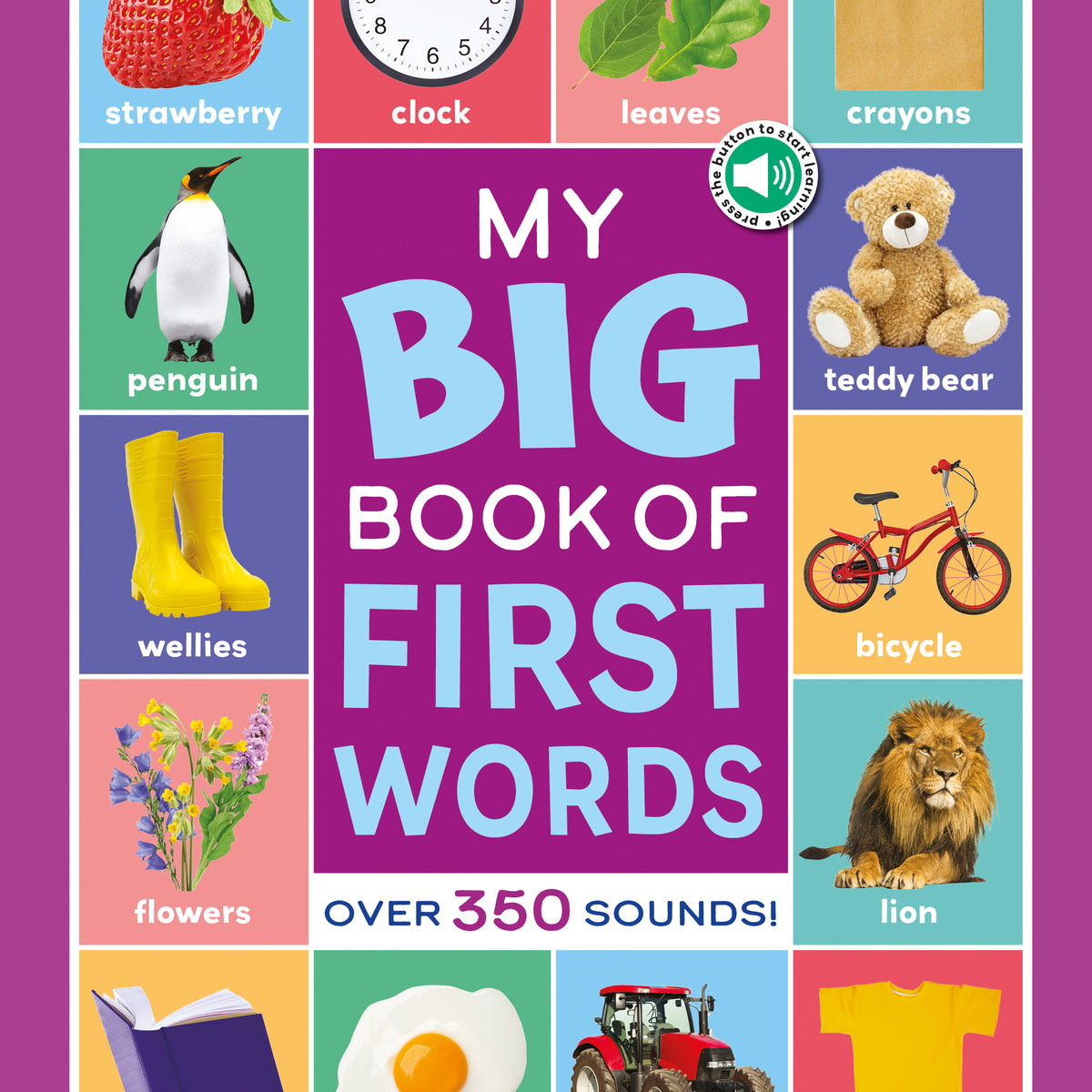 My Big Book of First Words – Children’s Educational Sound Book – Robert ...