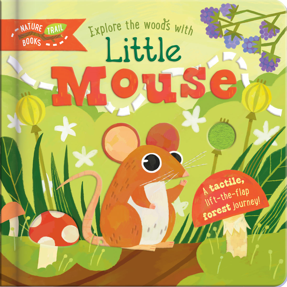 Explore the Woods with Little Mouse - Lift-the-Flap Book for Kids ...
