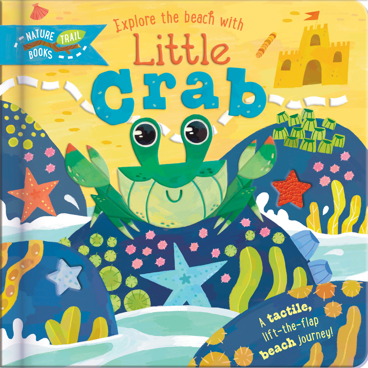 Explore the Beach with Little Crab - Lift-the-Flap Book for Kids ...