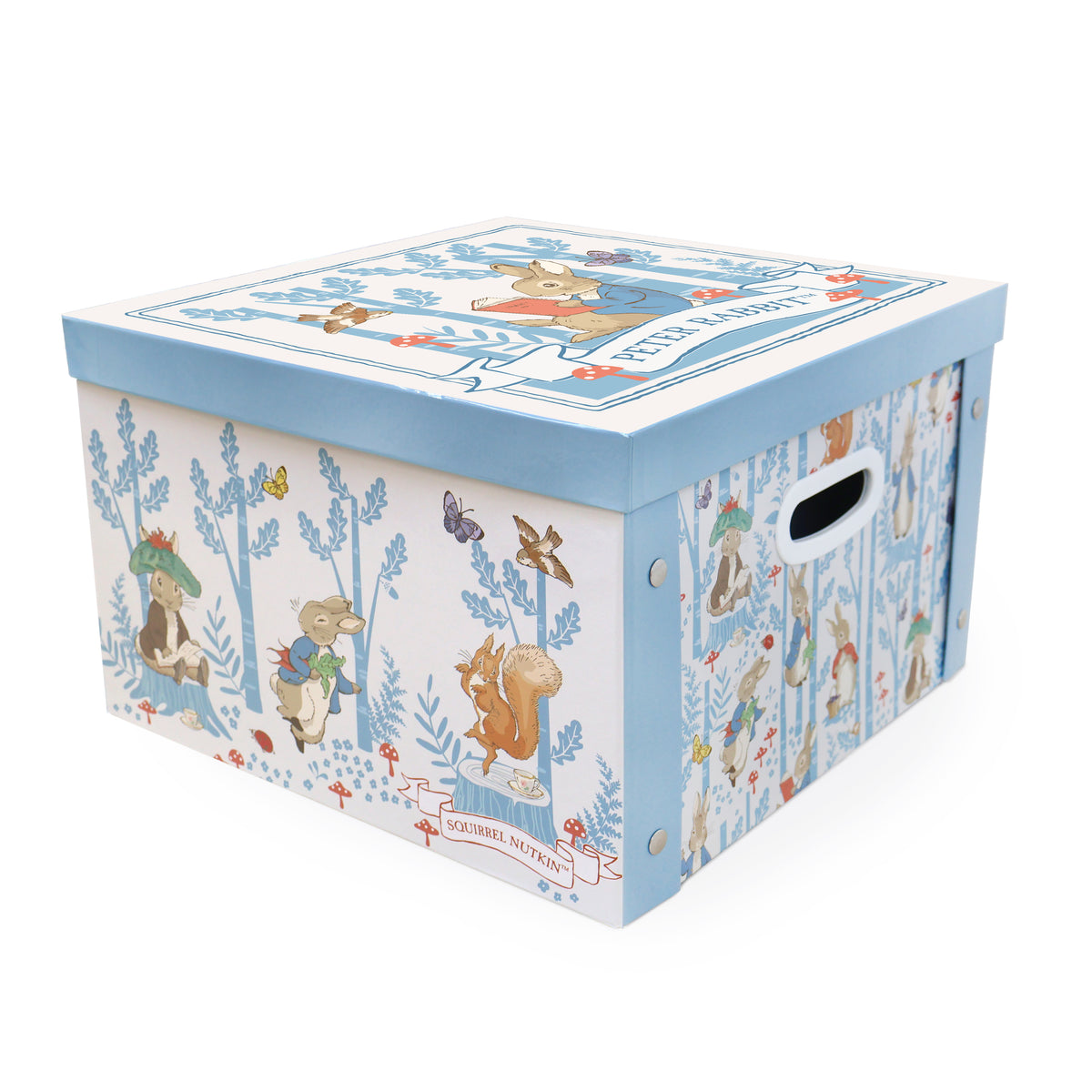 Peter Rabbit Forest Picnic Collapsible Storage Box – Robert Frederick