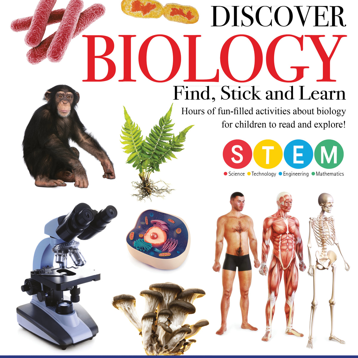 Discover Biology Sticker Book - Find, Stick and Learn – Robert Frederick