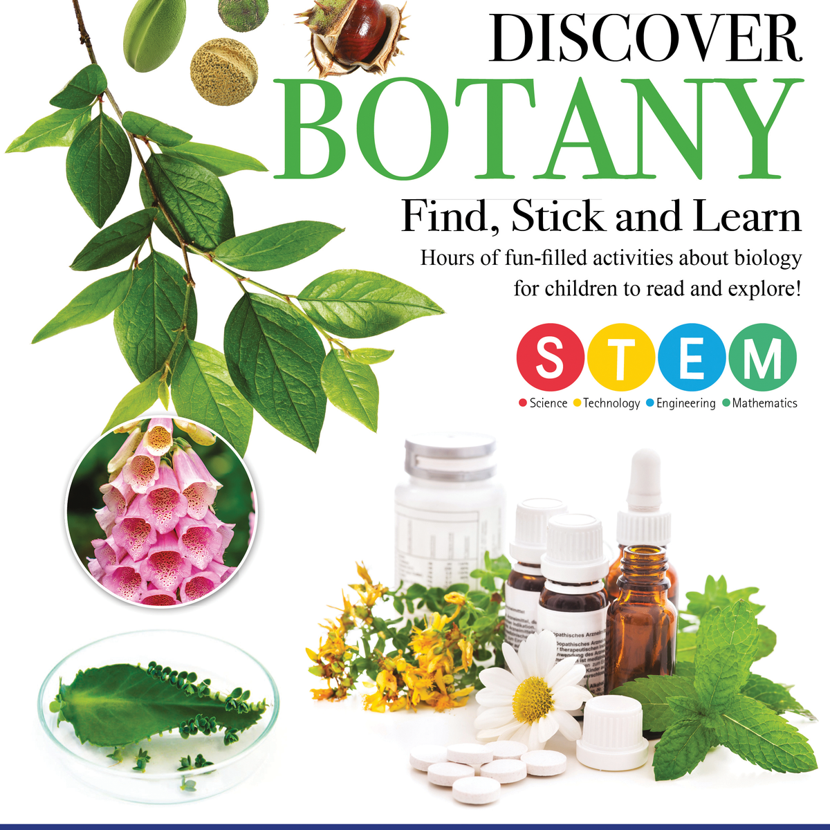 Discover Botany Sticker Book - Find, Stick and Learn – Robert Frederick