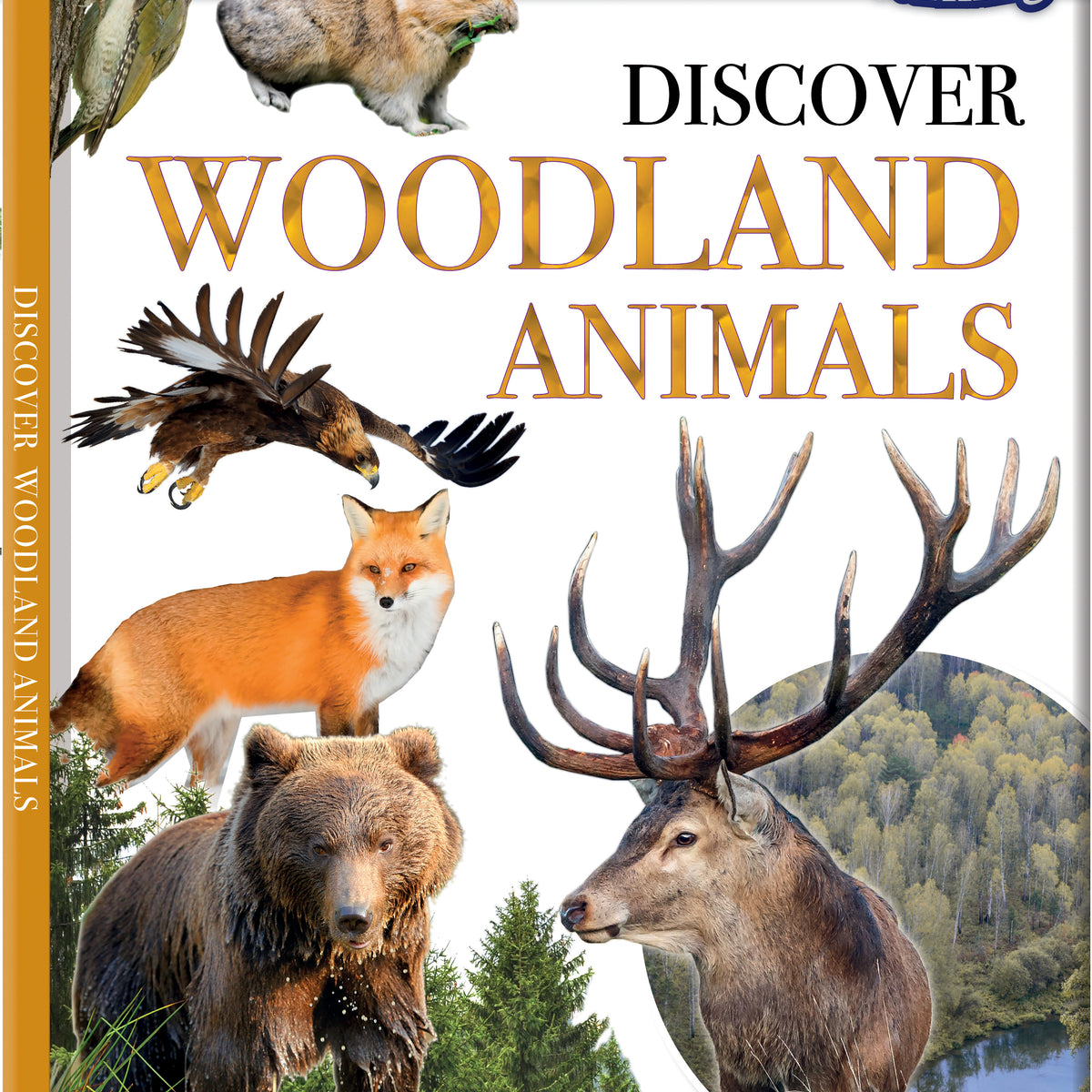 Discover Woodland Animals - Children's Reference Book – Robert Frederick