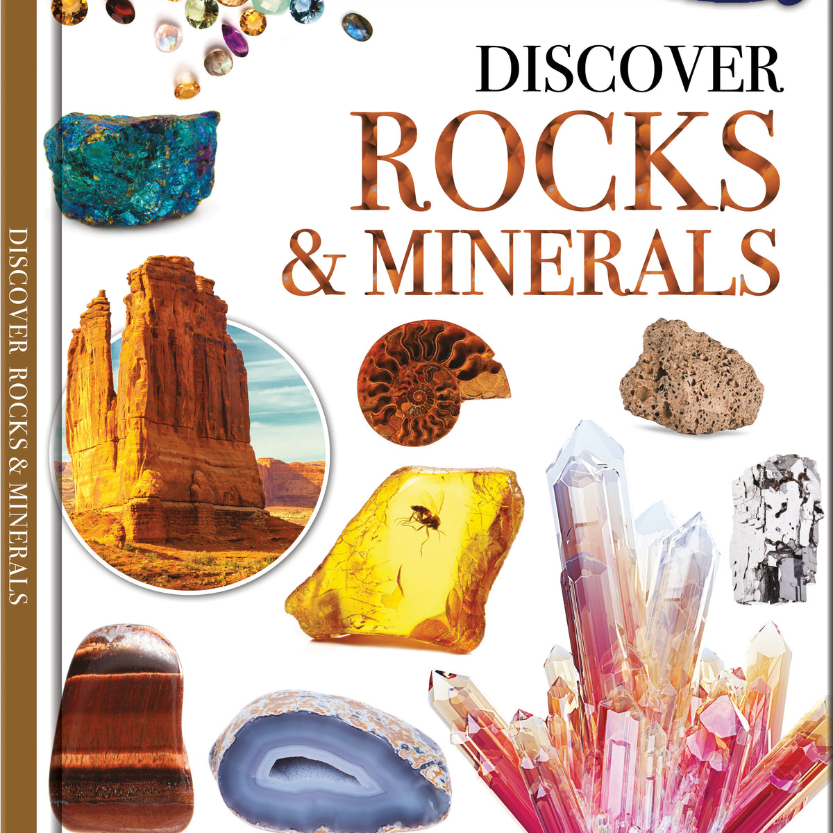 Discover Rocks & Minerals - Children's Reference Book – Robert Frederick