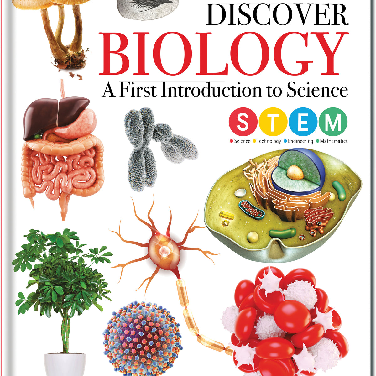 Discover Biology - Children's Reference Book - STEM Learning – Robert ...